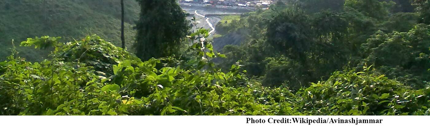 Jaigaon Wildlife Packages: Book Wildlife Tour Packages in Jaigaon with ...