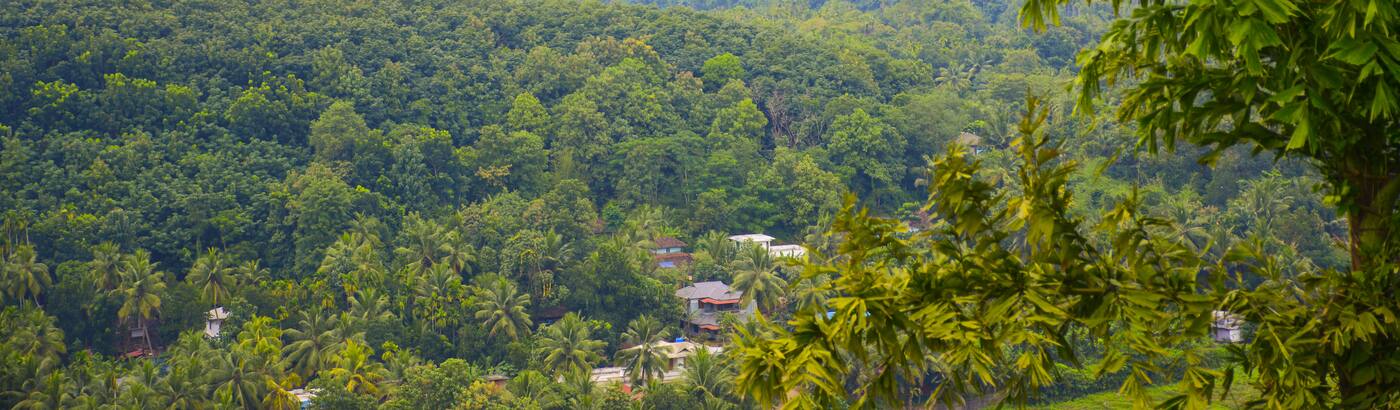 Nilambur Tour Packages, Book Nilambur Holiday Package at Best Price ...