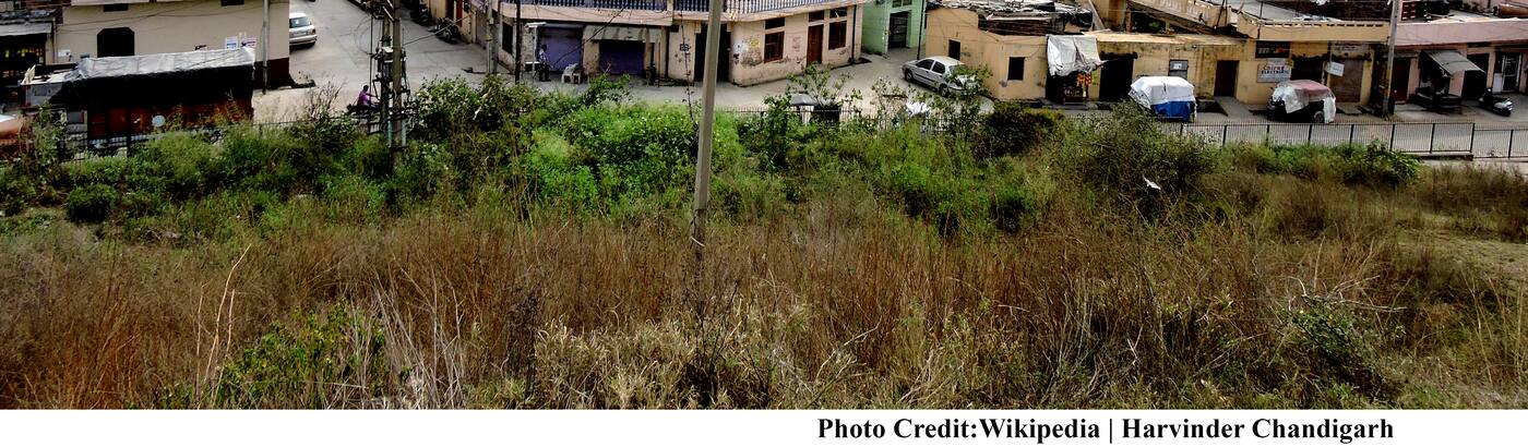 Roopnagar Wildlife Packages: Book Wildlife Tour Packages in Roopnagar ...