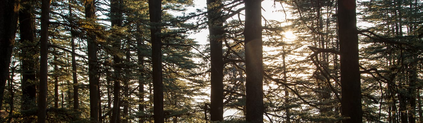 Junga Tour Packages From Kerala - Book Junga Packages From Kerala at ...