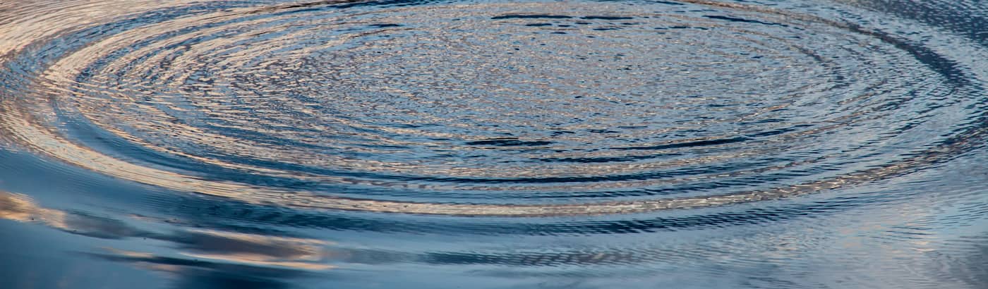 Rajula Wildlife Packages: Book Wildlife Tour Packages in Rajula with ...