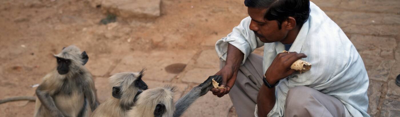 Sendhwa Wildlife Packages: Book Wildlife Tour Packages in Sendhwa with ...