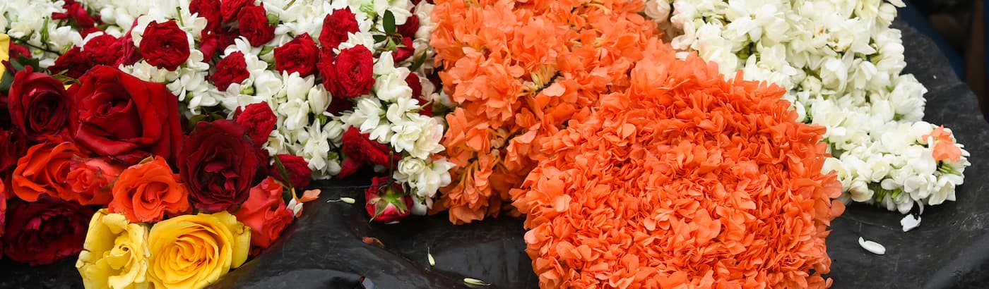 Tindivanam Tour Packages From Kerala - Book Tindivanam Packages From ...