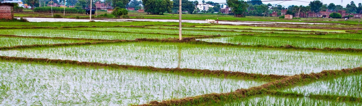 Tohana Tour Packages From Kerala - Book Tohana Packages From Kerala at ...