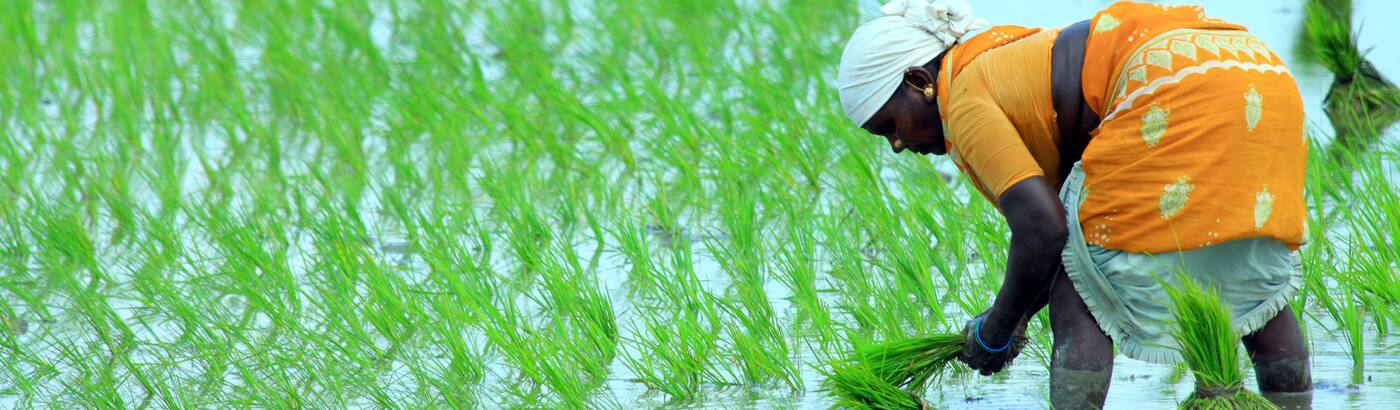 Supaul Wildlife Packages: Book Wildlife Tour Packages in Supaul with ...