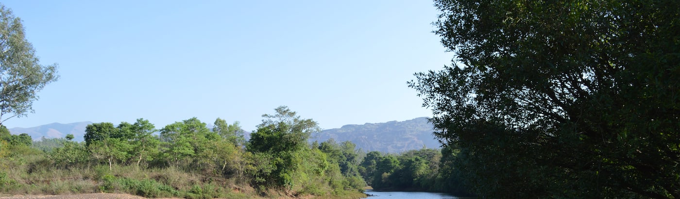 Anuppur Wildlife Packages: Book Wildlife Tour Packages in Anuppur with ...