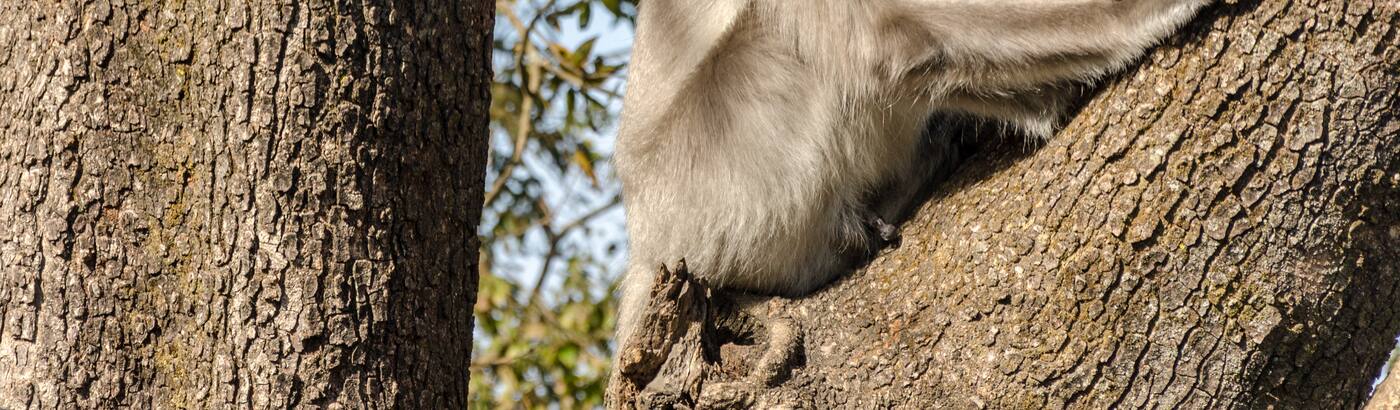 Bhota Tour Packages From Kerala - Book Bhota Packages From Kerala at ...