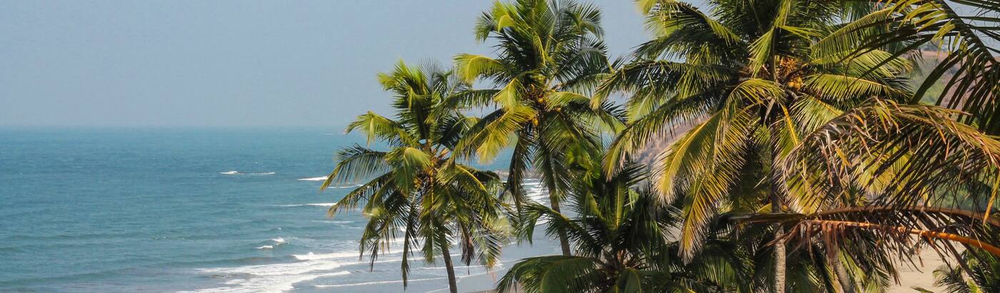 Bordi Wildlife Packages: Book Wildlife Tour Packages in Bordi with ...