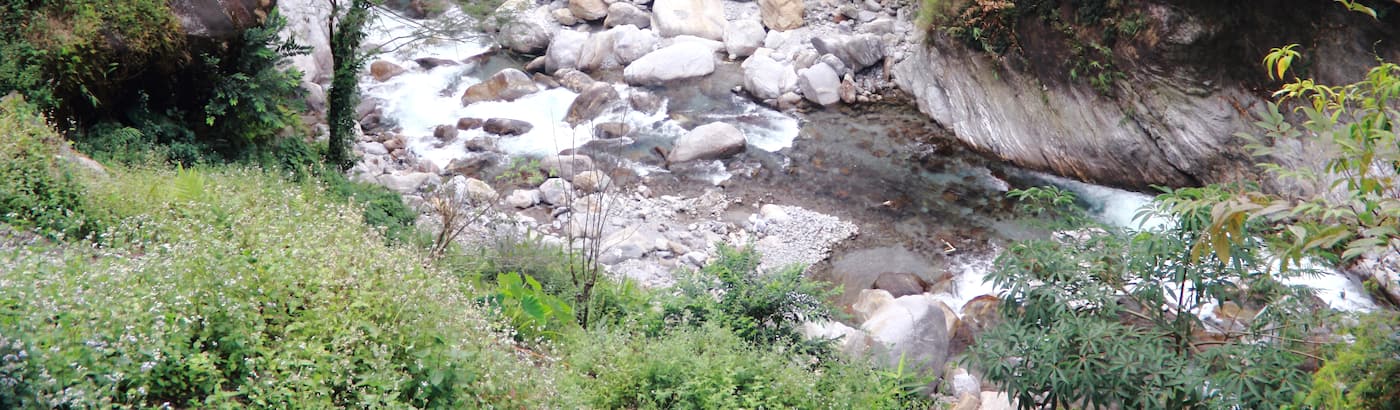 Chalsa Wildlife Packages: Book Wildlife Tour Packages in Chalsa with ...