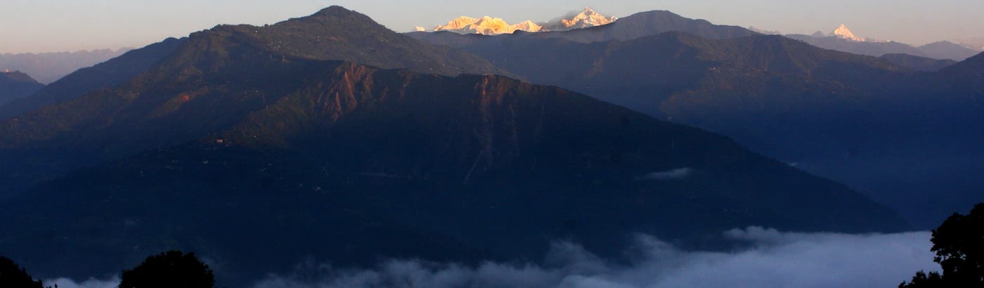 Kolakham Wildlife tours, Best Wildlife in Kolakham - Yatra.com