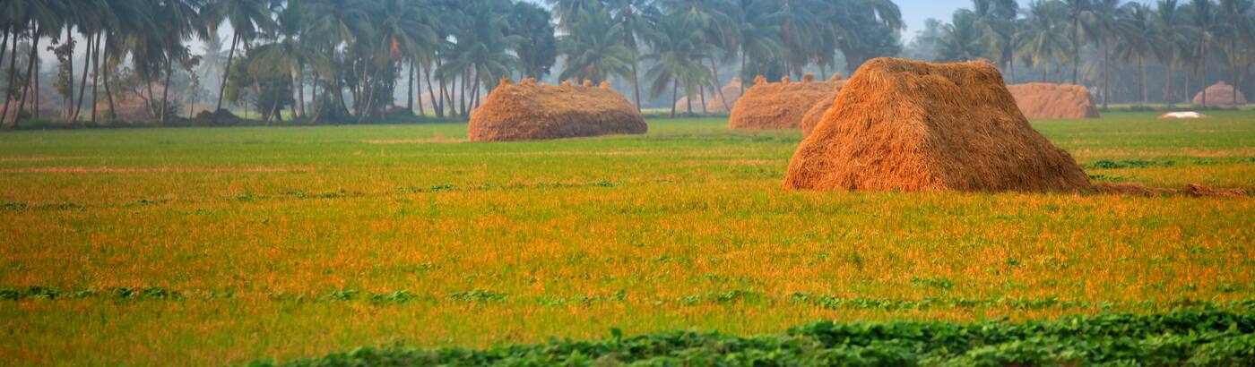 Kuppam Wildlife Packages: Book Wildlife Tour Packages in Kuppam with ...