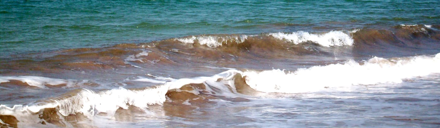 Nagothane Wildlife tours, Best Wildlife in Nagothane - Yatra.com