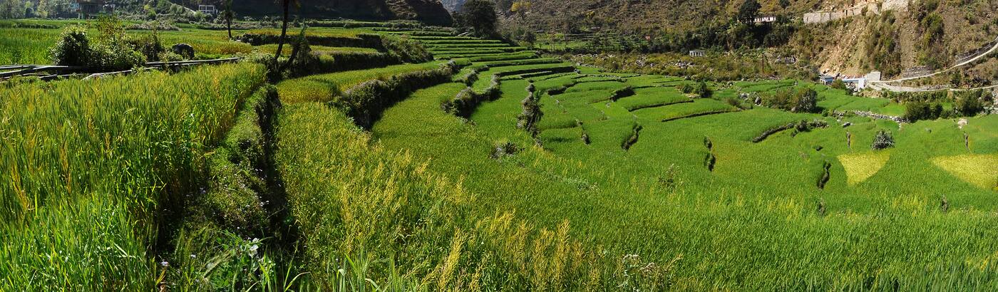 Pipalkoti Lakes Packages: Book Lakes Tour Packages in Pipalkoti with ...