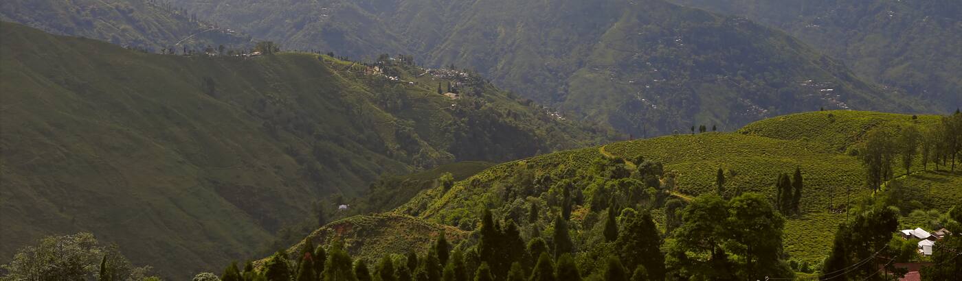 Rimbick Tour Packages From Kerala - Book Rimbick Packages From Kerala ...