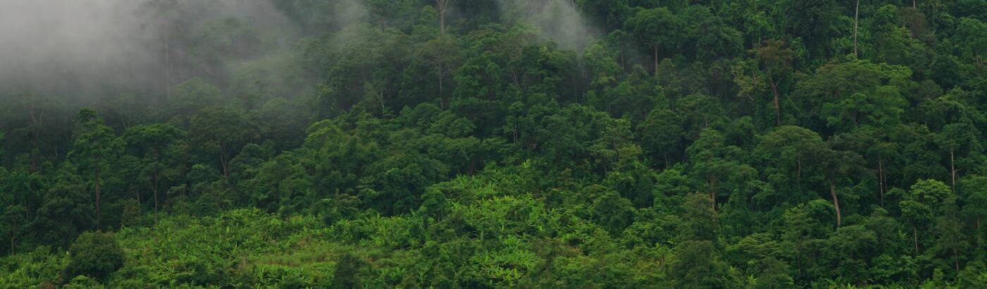 Sojha Tour Packages From Kerala - Book Sojha Packages From Kerala at ...