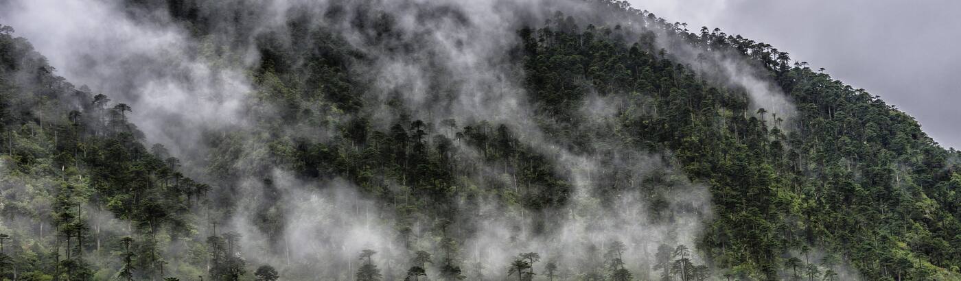 Wakro Tour Packages From Kerala - Book Wakro Packages From Kerala at ...