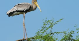 Top Attractions in Lakshadweep, Popular Tourist Attractions in ...