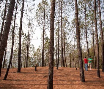 Best Time to Visit Lansdowne in 2022- Best Season to Visit Lansdowne ...