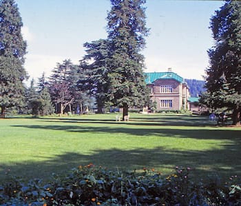 Chail, India - Chail Tourism | Chail Travel Guide - Yatra.com