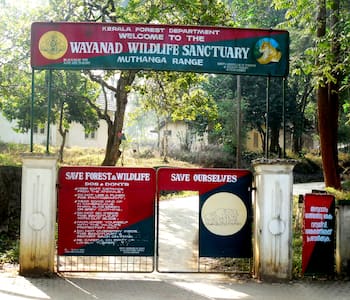 History of Wayanad- Know About Ancient History and Historical Places ...