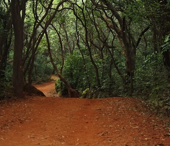 Best Time to Visit Matheran in 2022- Best Season to Visit Matheran ...