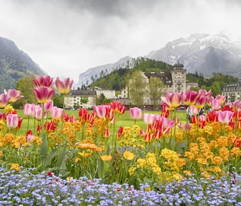 Interlaken Guide - Interlaken Tourism | Interlaken Travel Guide - Yatra.com