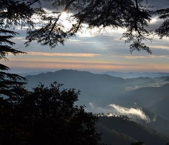 Chail, India - Chail Tourism | Chail Travel Guide - Yatra.com