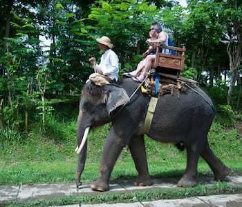 Elephant Safari Park - One of the Top Attractions in Bali, Indonesia ...