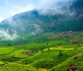 Munnar, India - Munnar Tourism | Munnar Travel Guide - Yatra.com