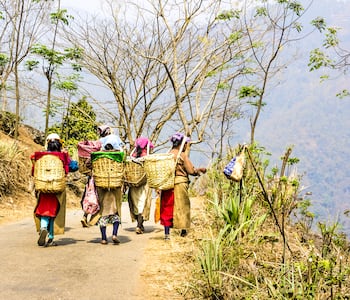 People of Darjeeling, Information About People and Lifestyle in ...