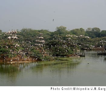 Guntur, India - Guntur Tourism | Guntur Travel Guide - Yatra.com