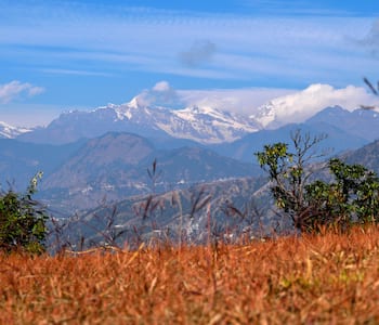 Auli, India - Auli Tourism | Auli Travel Guide - Yatra.com