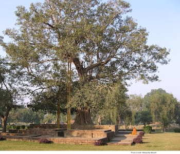 Places to Visit in Azamgarh - Most Famous Azamgarh Places to Visit - Yatra