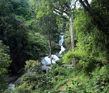Coorg, India - Coorg Tourism | Coorg Travel Guide - Yatra.com