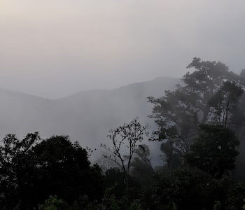 Best Time to Visit Coorg in 2022- Best Season to Visit Coorg, Weather ...