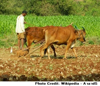 Bidar, India - Bidar Tourism | Bidar Travel Guide - Yatra.com