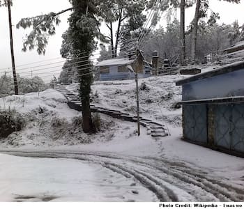 Binsar, India - Binsar Tourism | Binsar Travel Guide - Yatra.com