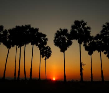 Akola, India - Akola Tourism | Akola Travel Guide - Yatra.com