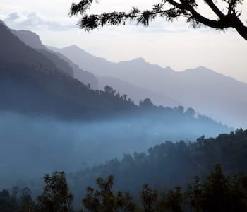 Coonoor, India - Coonoor Tourism | Coonoor Travel Guide - Yatra.com