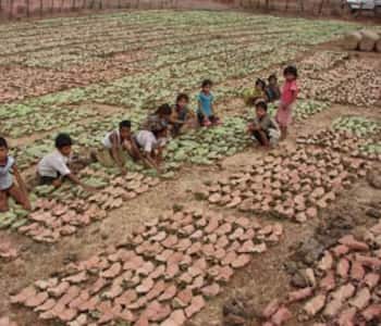 Harda, India - Harda Tourism | Harda Travel Guide - Yatra.com