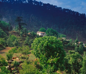 Kausani, India - Kausani Tourism | Kausani Travel Guide - Yatra.com
