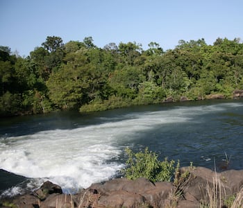 Best Time to Visit Dandeli in 2022- Best Season to Visit Dandeli ...