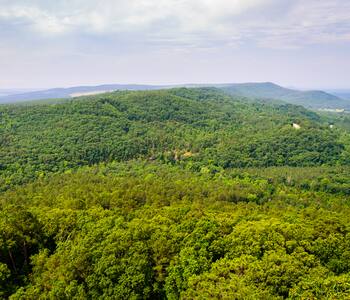 Dandeli, India - Dandeli Tourism | Dandeli Travel Guide - Yatra.com