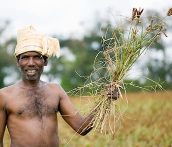 Hassan, India - Hassan Tourism | Hassan Travel Guide - Yatra.com