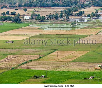 Erode, India - Erode Tourism | Erode Travel Guide - Yatra.com