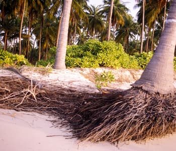 Lakshadweep, India - Lakshadweep Tourism | Lakshadweep Travel Guide ...