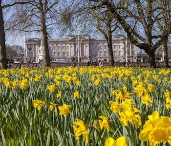 Best Time to visit London, Season & Month in 2019 - Yatra.com