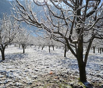 Kullu, India - Kullu Tourism | Kullu Travel Guide - Yatra.com