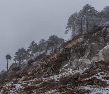 Best Time to Visit Ranikhet in 2022- Best Season to Visit Ranikhet ...