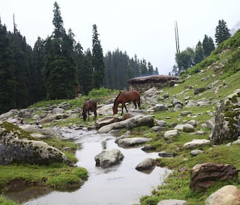 Anantnag, India - Anantnag Tourism | Anantnag Travel Guide - Yatra.com